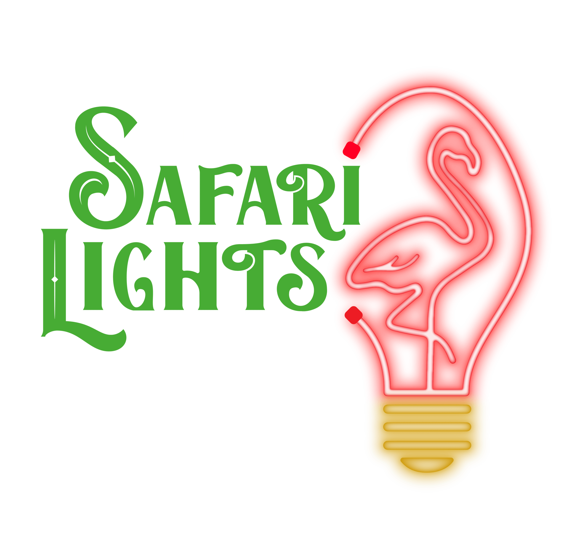Safari Lights Adventure Guide